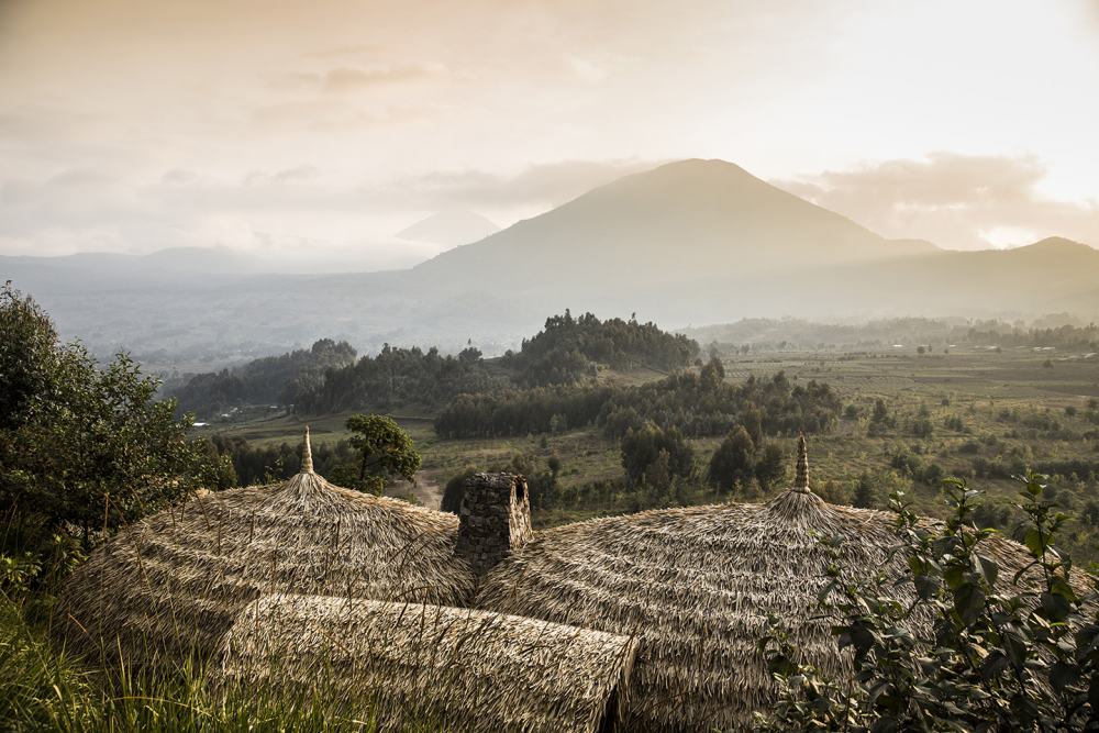 Imagine ficar frente a frente com os gorilas de Ruanda - Hotelnews ...