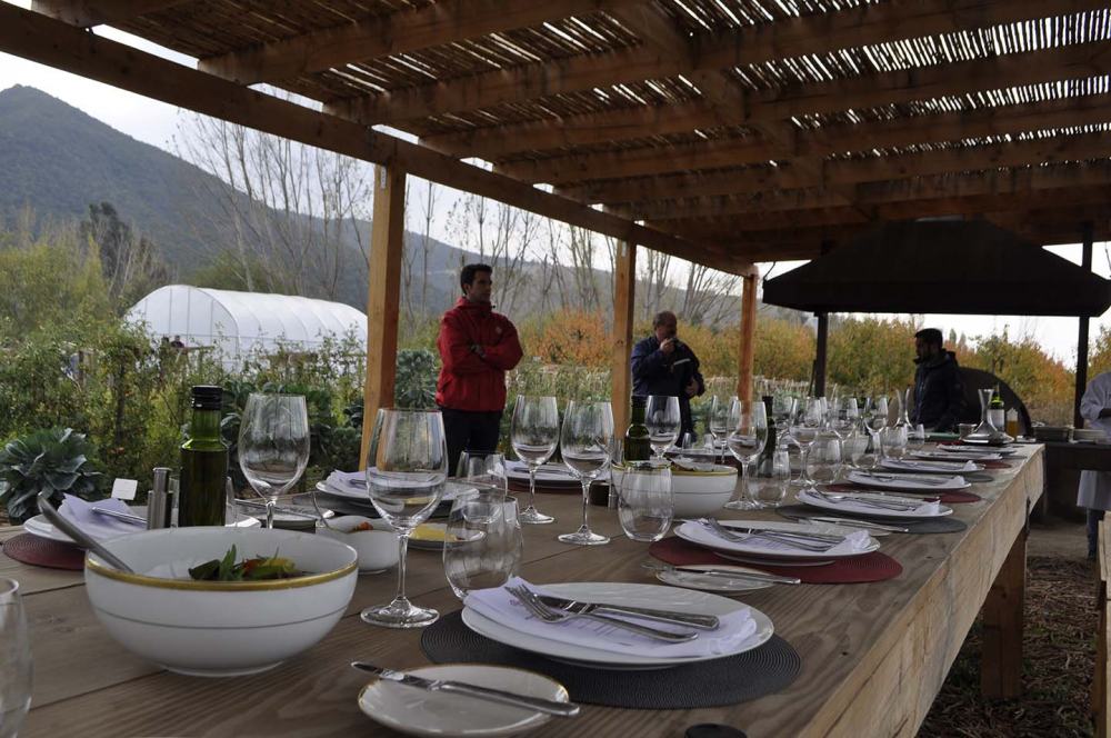 Vik Chile | Hotel-vinícola no Vale de Millahue - Blog de viagens